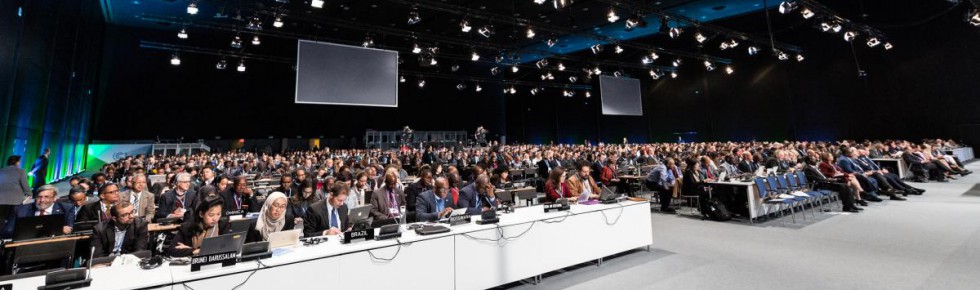 UNU Simulation Game 2020 - COP | UNU-CRIS